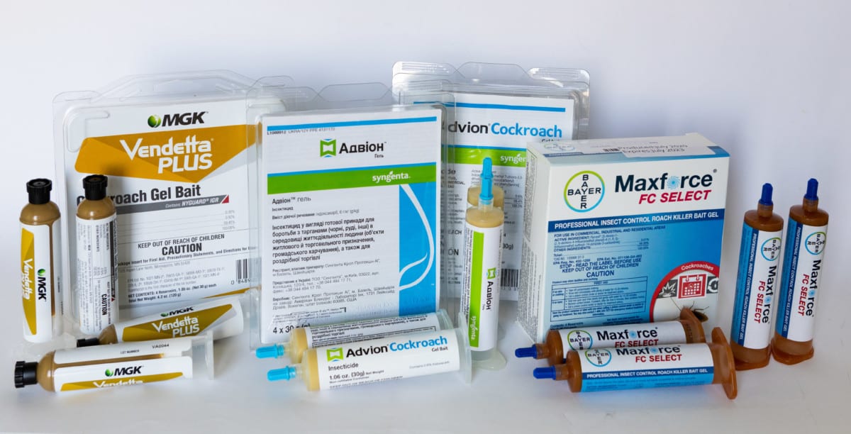 Чому ми рекомендуємо почати боротьбу з тарганами саме з використання ...