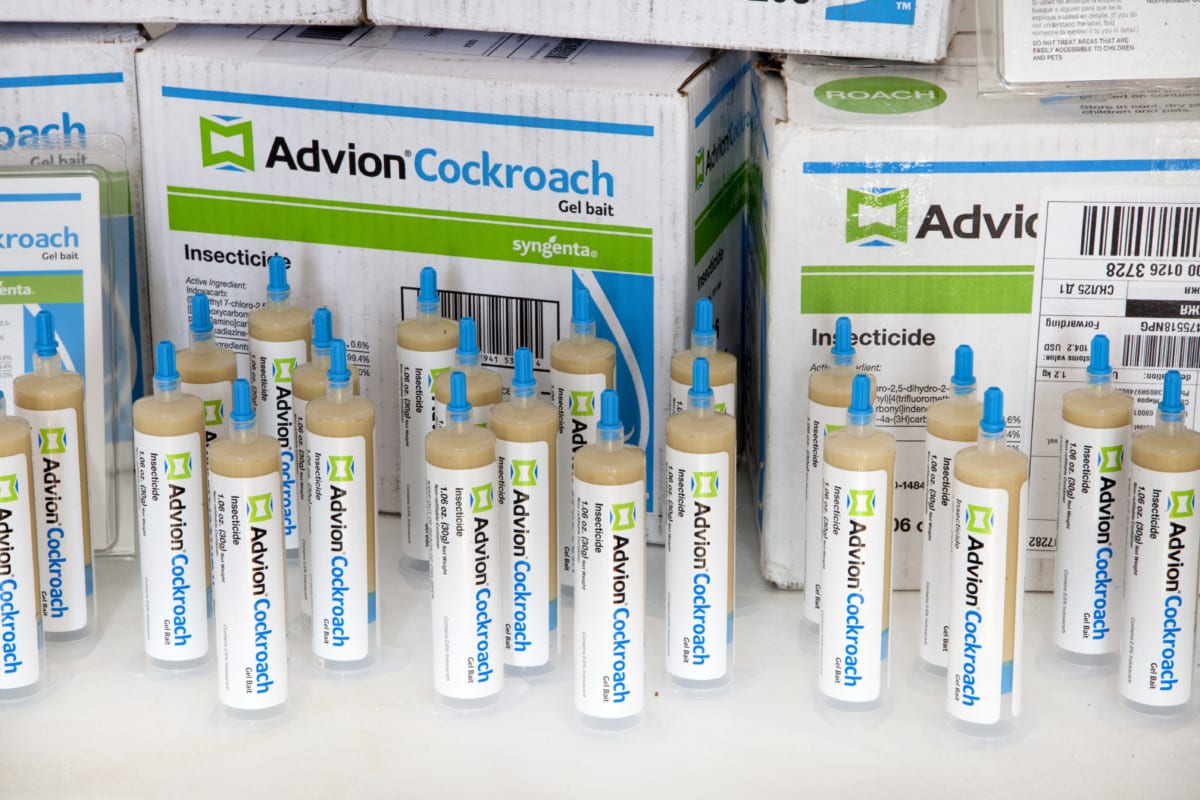 Що станеться після застосування Advion Cockroach Gel Bait (Адвіон Гель ...